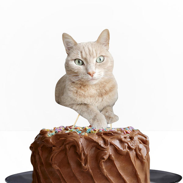 Large Cat Photo Cake Topper | Printed Little Things