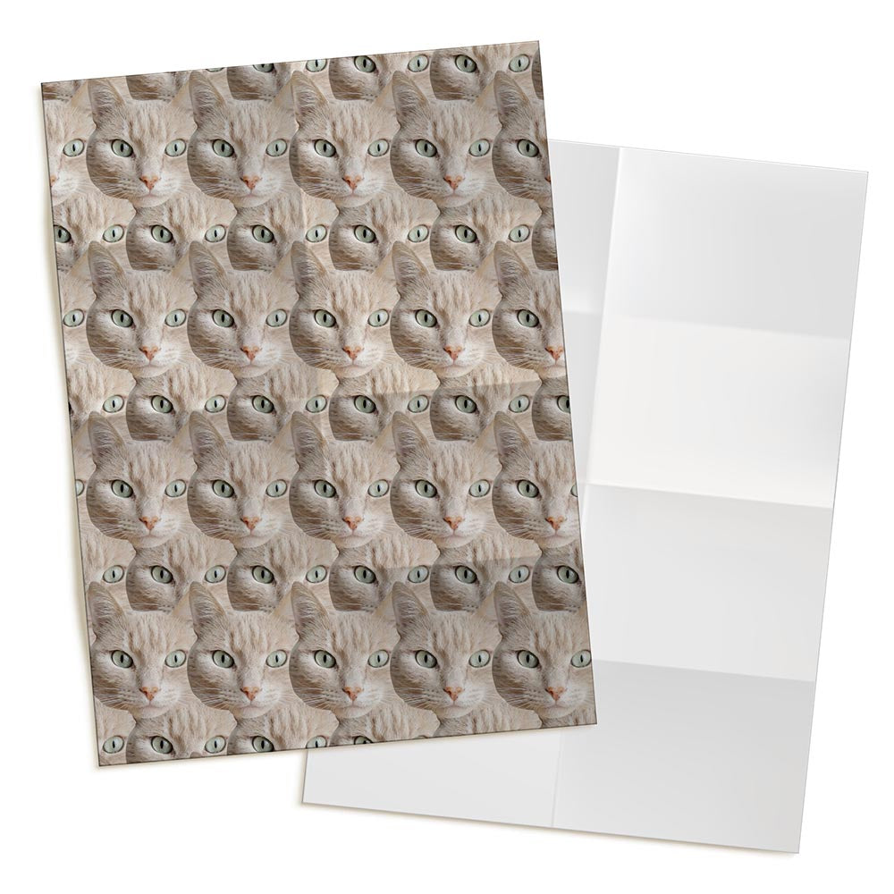 Custom Printed Cat Wrapping Paper | Printed Little Things